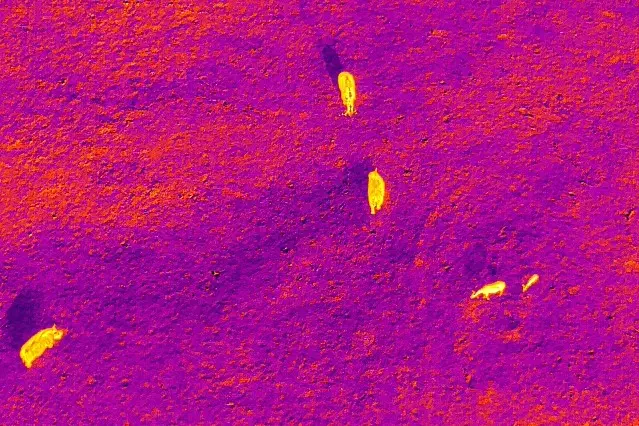 Soton UAV