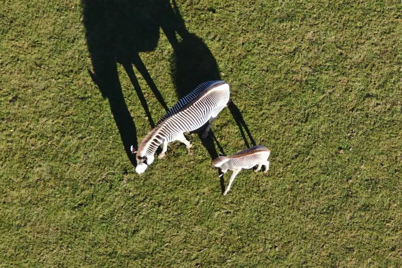 Soton UAV